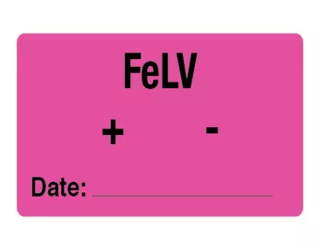 Label, FeLV Date_____ – Nev's Ink, Inc.