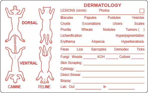 Dematology Canine Feline Label – Nev's Ink, Inc.
