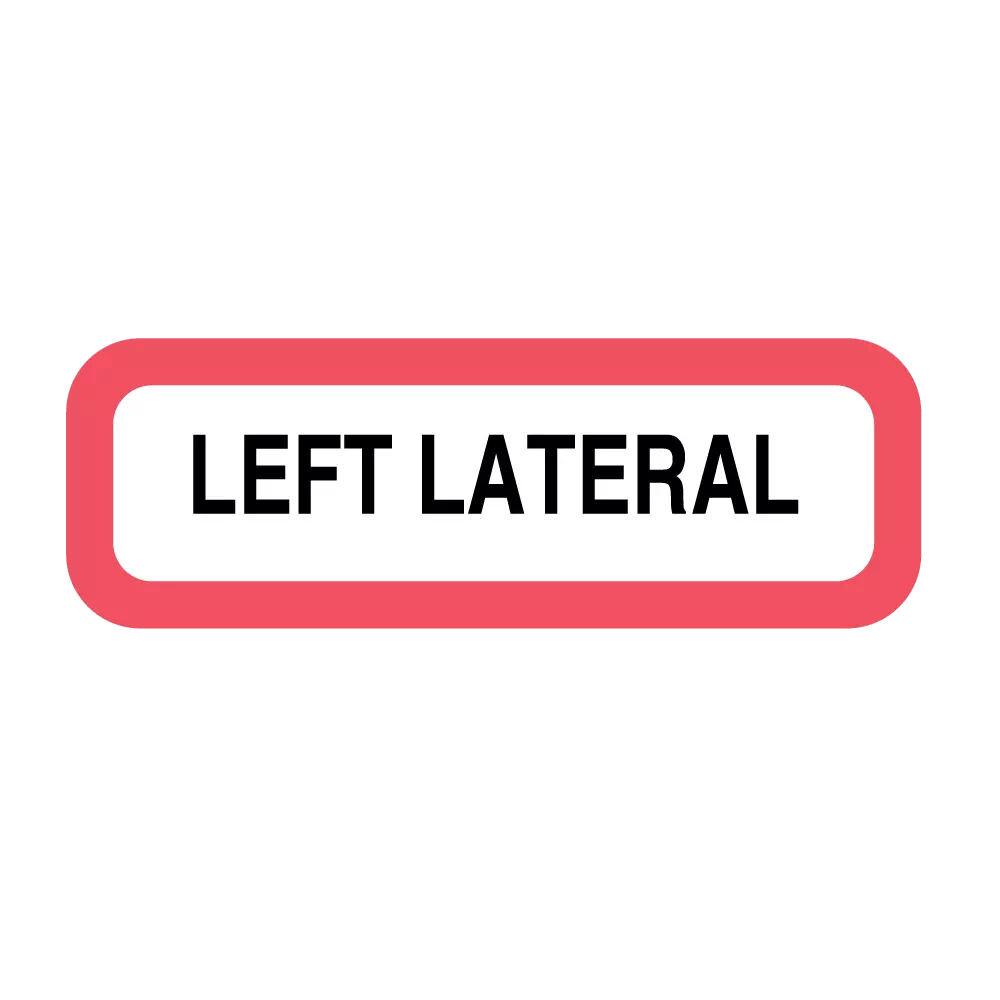 Position Labels – Left Lateral – Nev's Ink, Inc.