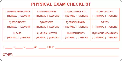 Veterinary Physical Exam Checklist – Nev's Ink, Inc.